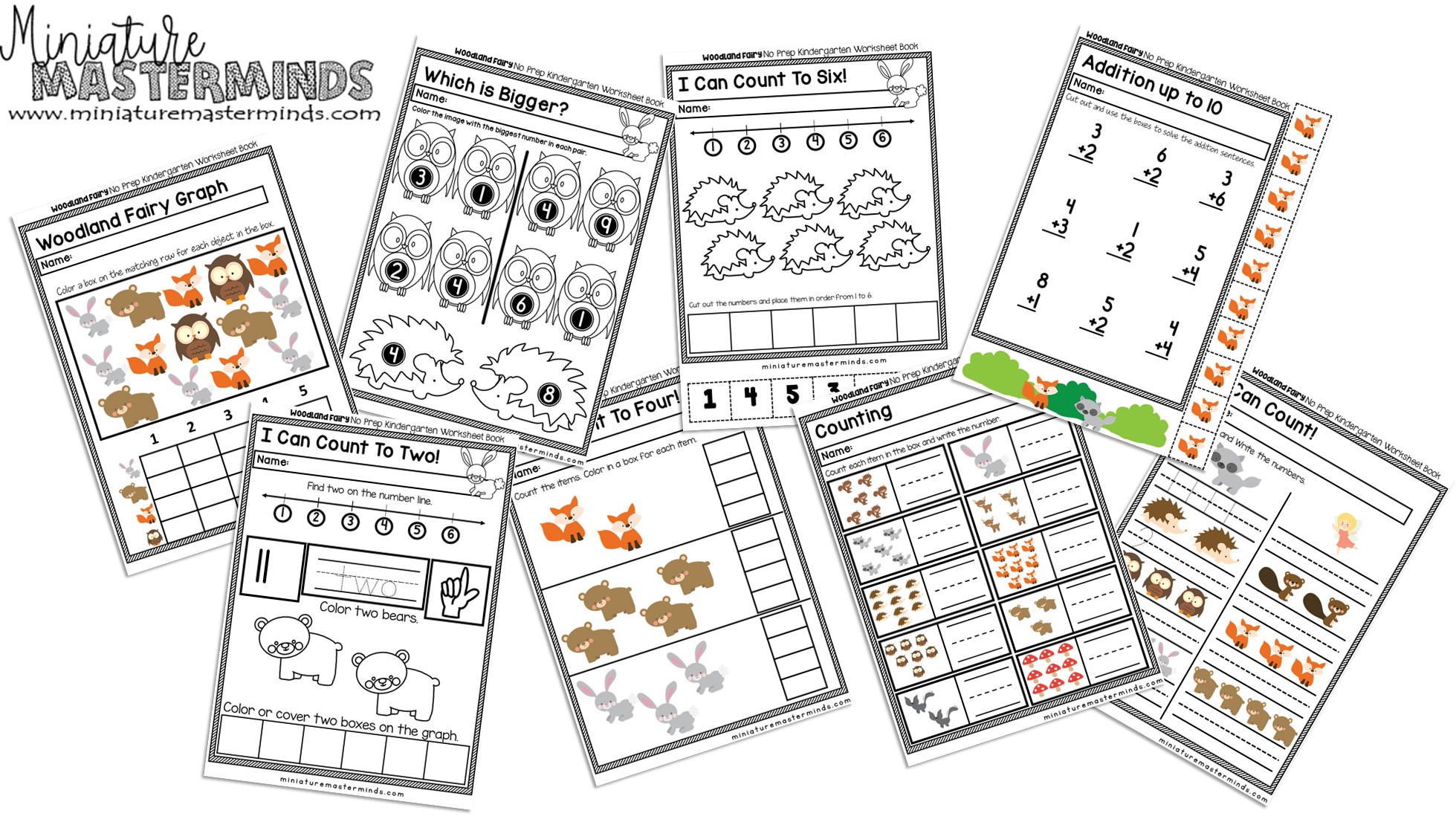 Preschool and Kindergarten Fairy Wood Land Creatures Worksheet and ...