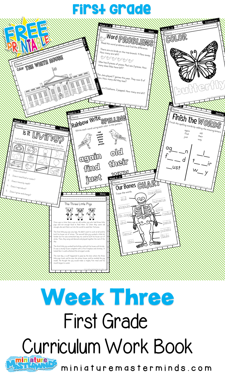 week three First Grade – Miniature Masterminds